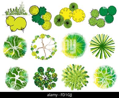 Tree and treetop symbols, vector set for architectural or landscape ...