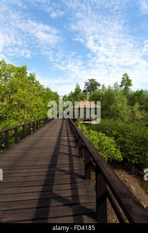 Traditional Indonesian landscape with mangrove and walkway, Sulawesi ...