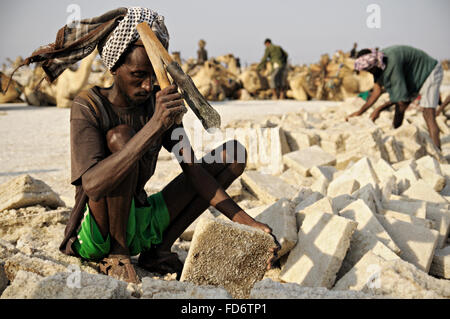 Afar man mining salt from salt flats in Afar region, Danakil Depression ...