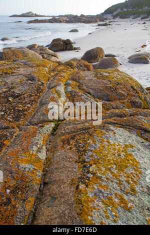 Stumpys Bay in Mt William National Park Stock Photo - Alamy