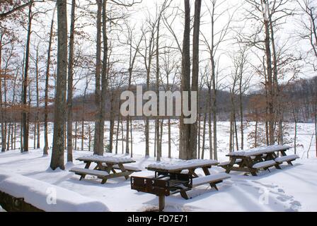 Lake in Yellowwood State Forest in Brown County near Nashville Indiana ...