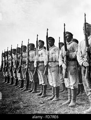 Parade ground drill at a unit of the Wehrmacht, 1936 Stock Photo - Alamy
