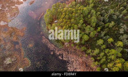 Overhead scenic of Church Lake Prairie, Ocala National Forest, FL Stock ...