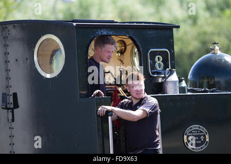 Steam locomotive driver on the Vale of Rheidol line, British Rail last ...
