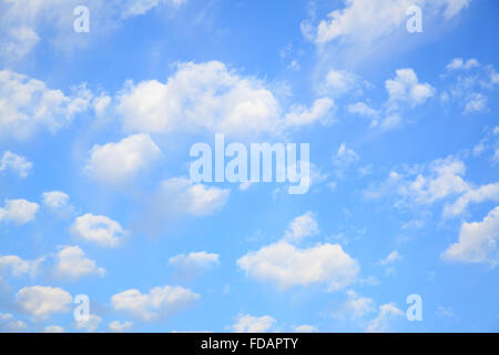 Sky with a lot of small clouds, may be used as vertical background ...