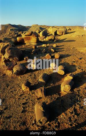 Petrified wood in Xinjiang, China, this beautiful fossil still ...