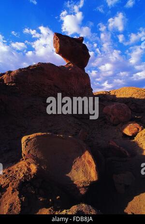 Petrified wood in Xinjiang, China, this beautiful fossil still ...