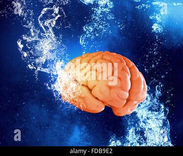 Human brain floating in clear blue water Stock Photo - Alamy