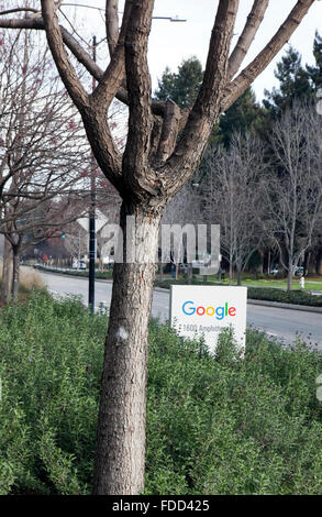 A view of Alphabet's corporate campus in Mountain View, California ...