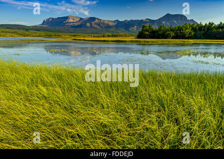 Prairie meets the Canadian Rocky Mountains , Waterton Lakes National ...