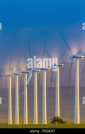 Wind farm in Southern Alberta, Canada Stock Photo - Alamy