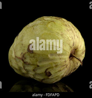 The Custard-apple (Annona reticulata), known in English as bullock's ...