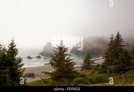 Oregon Beach and large boulders on a foggy morning Stock Photo - Alamy
