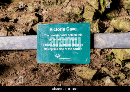 Victoria Cave, Attermire Scar, near Settle, Yorkshire Dales, England ...