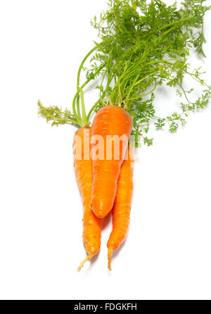 Young organic orange ripe carrot heap Stock Photo - Alamy