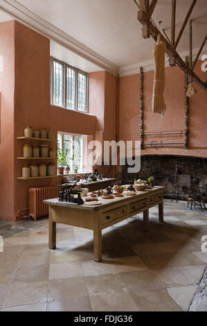 The sixteenth century kitchen built by Sir Richard Grenville at ...