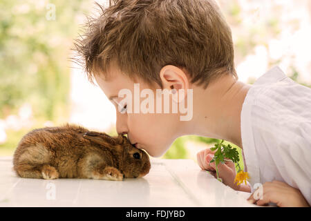 Portrait of Boy with Pet Rabbit Stock Photo - Alamy