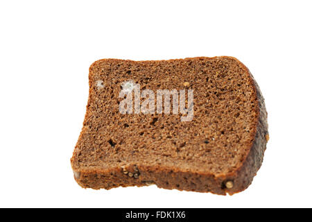 bread mold. close-up Stock Photo - Alamy