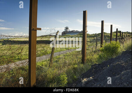 Remains of the Haig Pit, an early twentieth century colliery on the ...