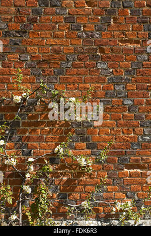 Tudor brickwork on the south front at The Vyne, Hampshire. The "diaper ...
