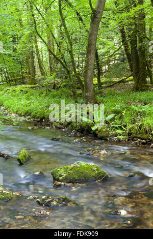 The River Lyd flowing through Lydford Gorge, Devon Stock Photo - Alamy