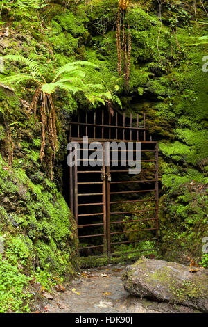 Entrance to mine adit in Lydford Gorge, Devon. The mine was used to ...