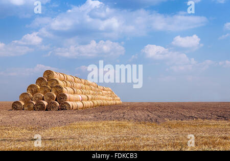 haystacks piled straw Stock Photo - Alamy