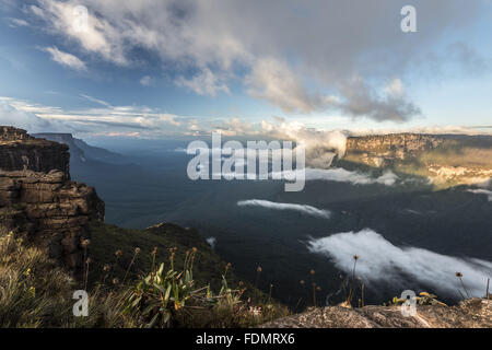 Mount Roraima National Park - Sierra de Pacaraima Stock Photo - Alamy