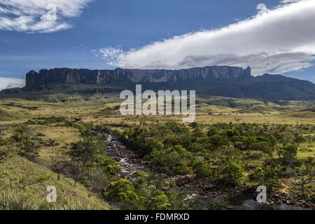 Mount Roraima National Park - Sierra de Pacaraima Stock Photo - Alamy