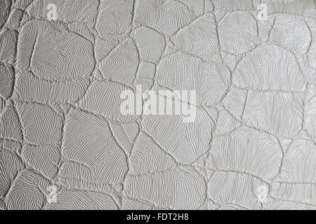 White clay plaster on the wall. Texture and background Stock Photo - Alamy