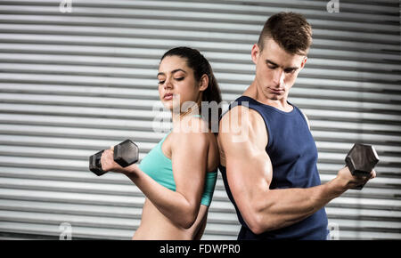 Fit people lifting dumbbells back to back Stock Photo - Alamy