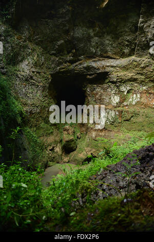 The Camuy River Cave Park. PUERTO RICO - Caribbean Island. US territory ...