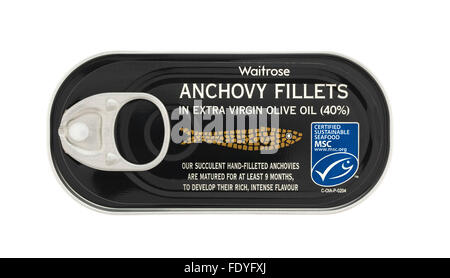 canned anchovy fillets isolated on white background, top view Stock ...