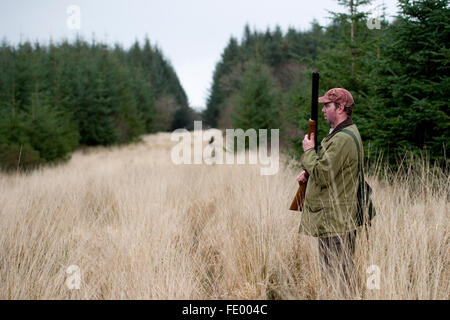 man shooting in the forest with a shotgun Stock Photo - Alamy