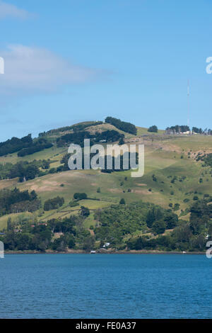 Scenic scenery of Port Chalmers, Dunedin New Zealand, a wildlife tour ...