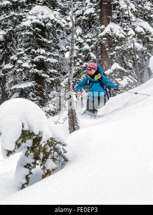 Expert skier skiing in deep powder snow, Mt. Mansfield, Stowe, Vermont ...