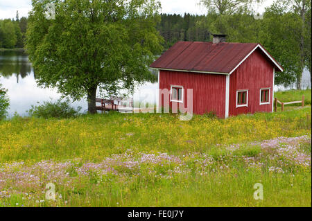 Wild Flower Meadow and Wooden Sauna building by lake, Lentiira, Kuhmo ...