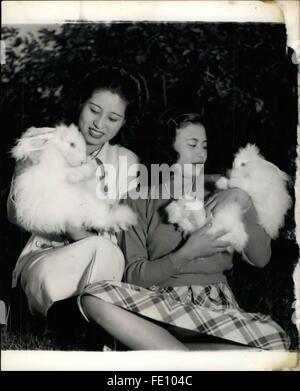 Two angora rabbits Stock Photo - Alamy