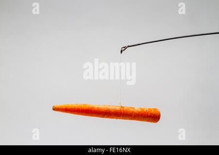 A Carrot dangling from a fishing pole as in the carrot and stick ...