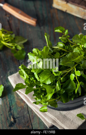 A bunch of fresh watercress Stock Photo - Alamy