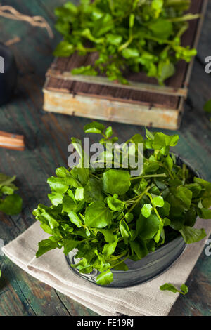 A bunch of fresh watercress Stock Photo - Alamy