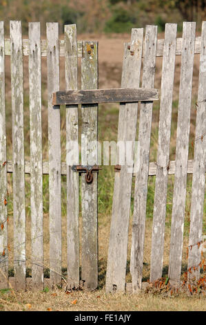 Wooden structure of an old gate on a Baroque building in Sopron ...