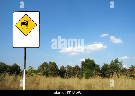 Traffic road sign - Wildlife deer crossing on diamond sign. Symbol ...