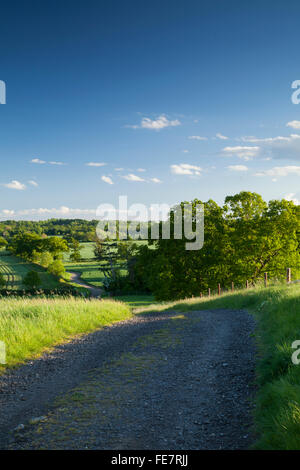 Farm track through wheat fields at harvest time, oast house and St ...