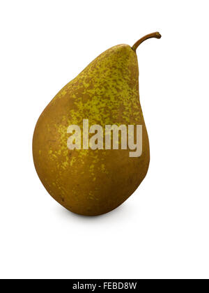 Green conference pear isolated on white background with full depth of ...