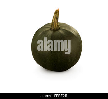 Gem squash isolated on a white studio background Stock Photo - Alamy