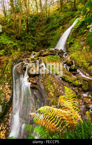 Holme Force waterfall, Holme Wood, near Loweswater, English Lake ...