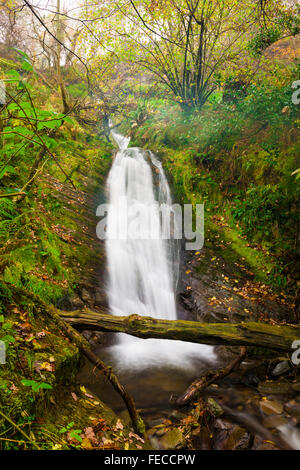 Holme Force waterfall, Holme Wood, near Loweswater, English Lake ...