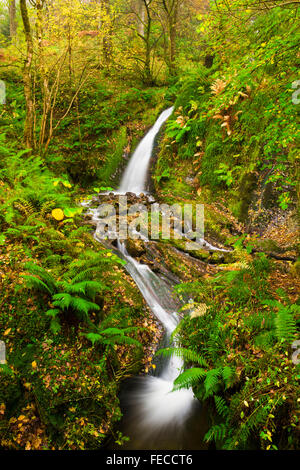 Holme Force waterfall, Holme Wood, near Loweswater, English Lake ...