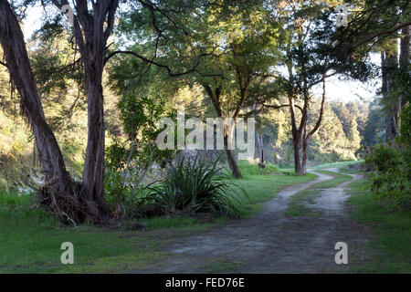 Pelorus Bridge in Pelorus Bridge Scenic Reserve,Marlborough Region on ...